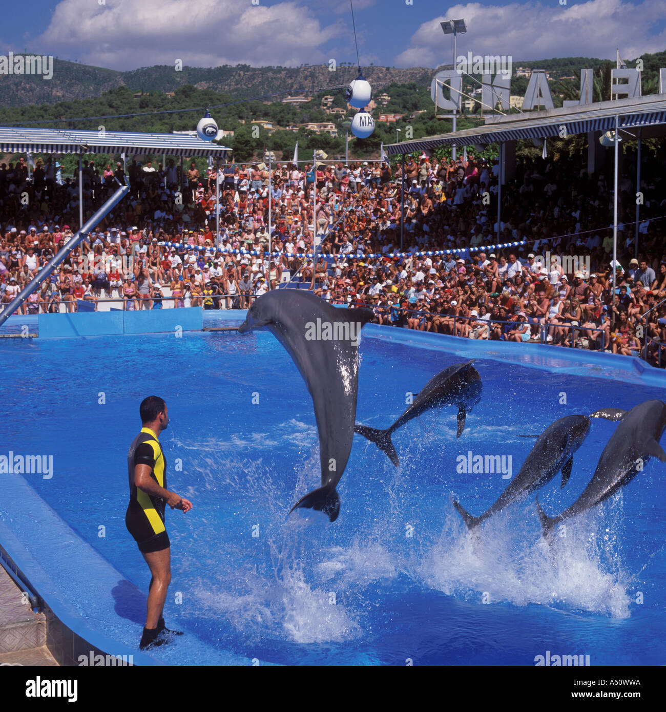Marineland majorca mallorca hi-res stock photography and images - Alamy