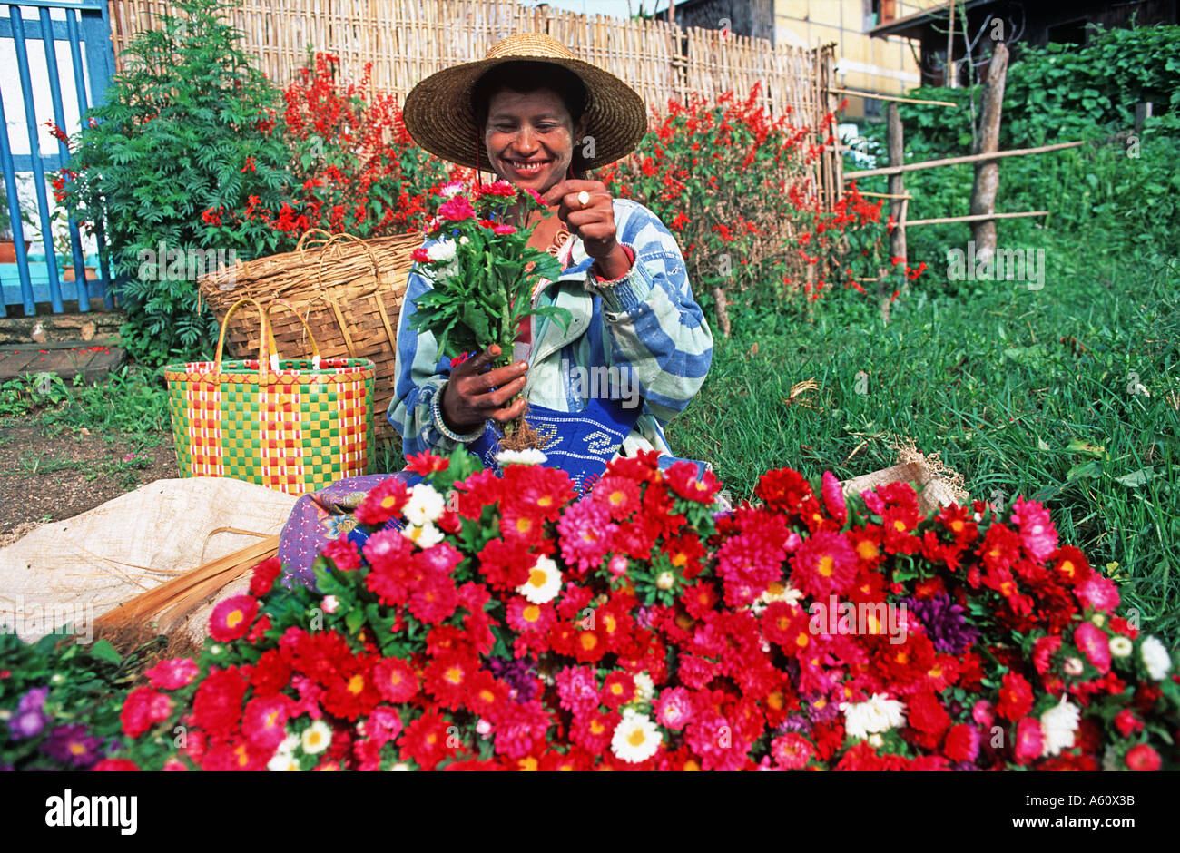 Myanmar inle lake flower hi-res stock photography and images - Alamy