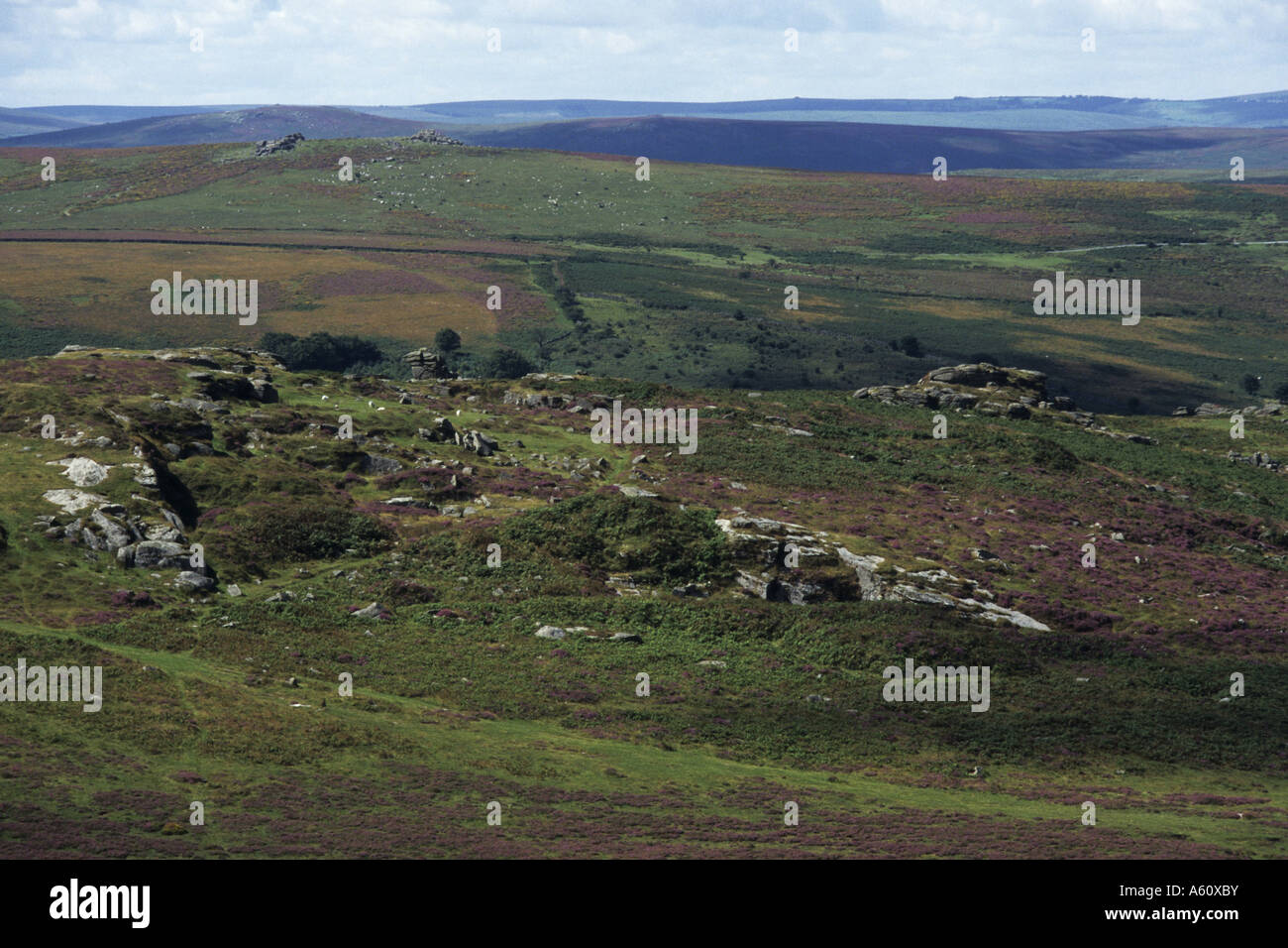 Hilly heath moor moor land hi-res stock photography and images - Alamy