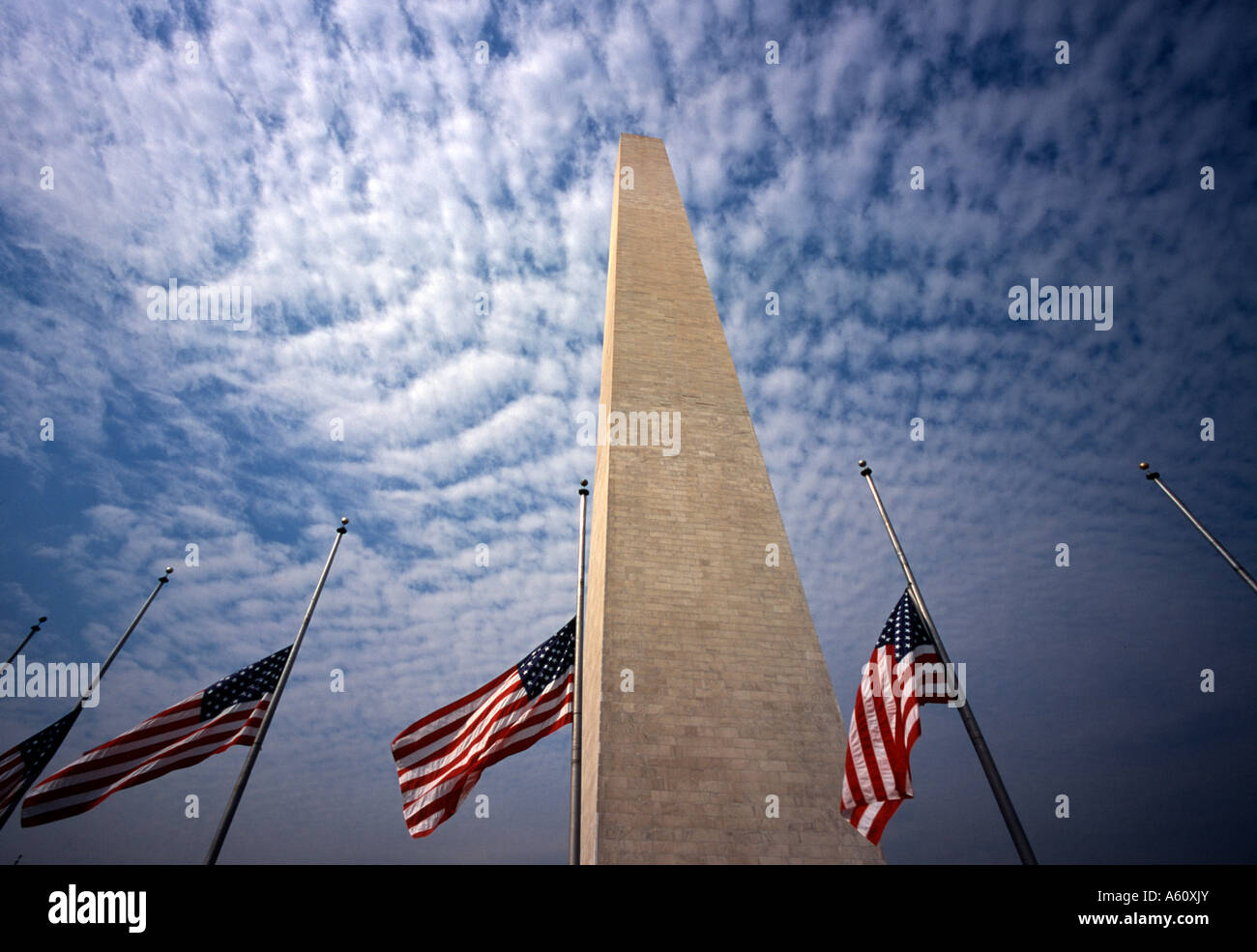 Washington Monument and American Flags, Washington D.C Stock Photo - Alamy