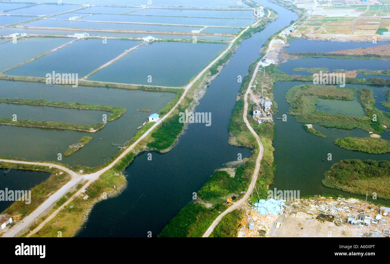Aquaculture seafood fish farm farming ponds on the Pearl River Delta ...