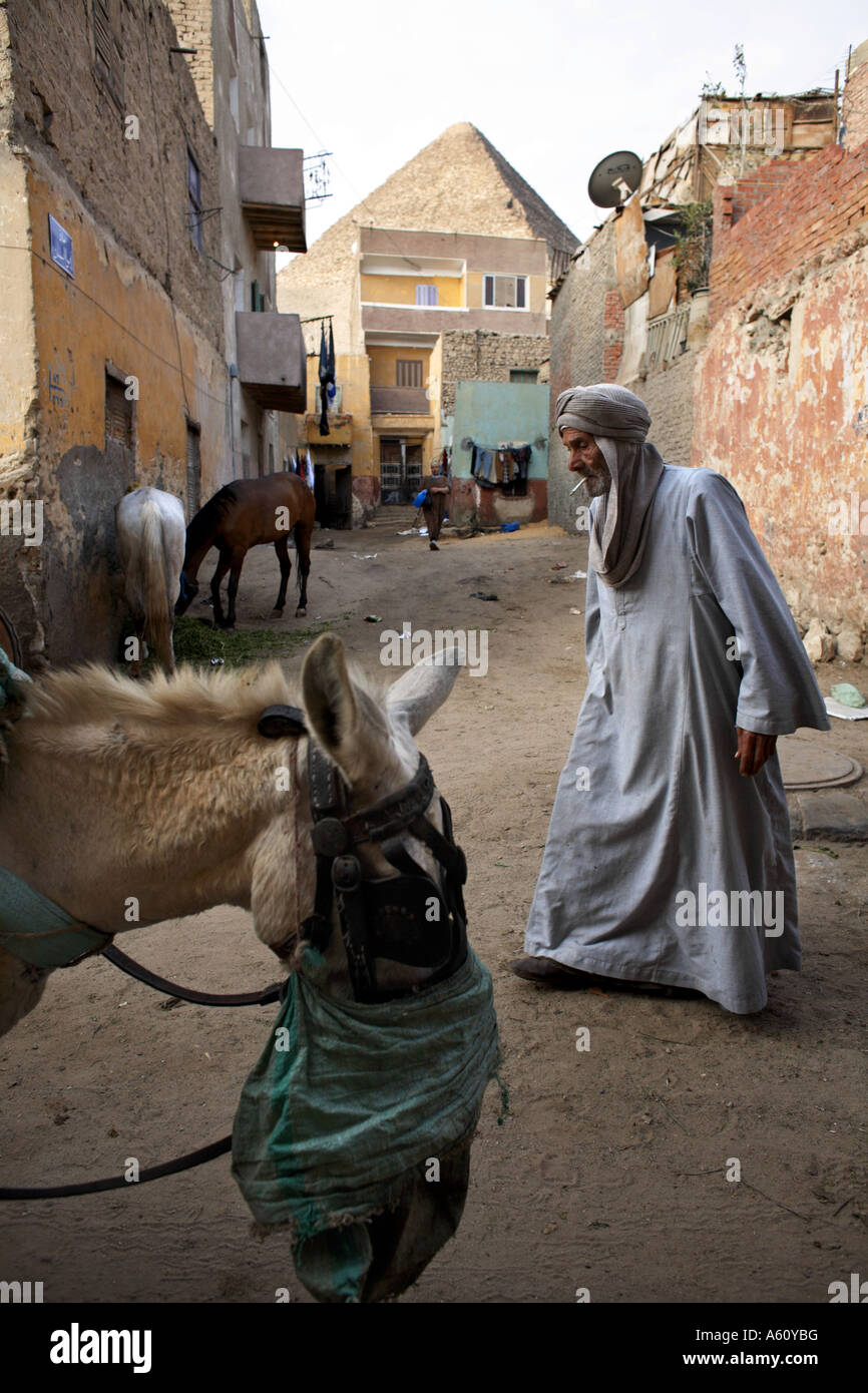 Donkey pyramid giza egypt hi-res stock photography and images - Alamy