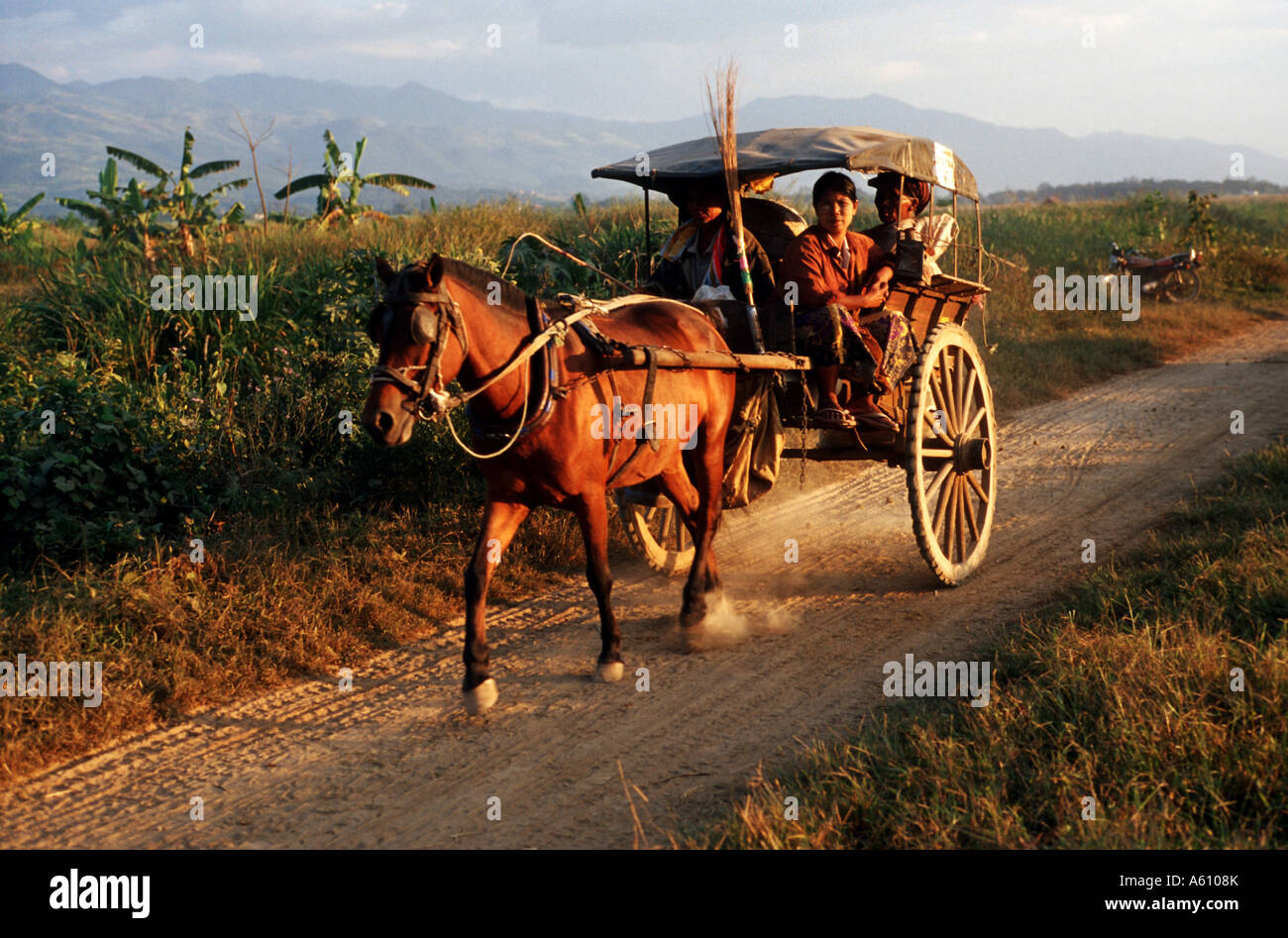 horse-drawn carriage for transport of passengers, Burma, Inle-See Stock ...