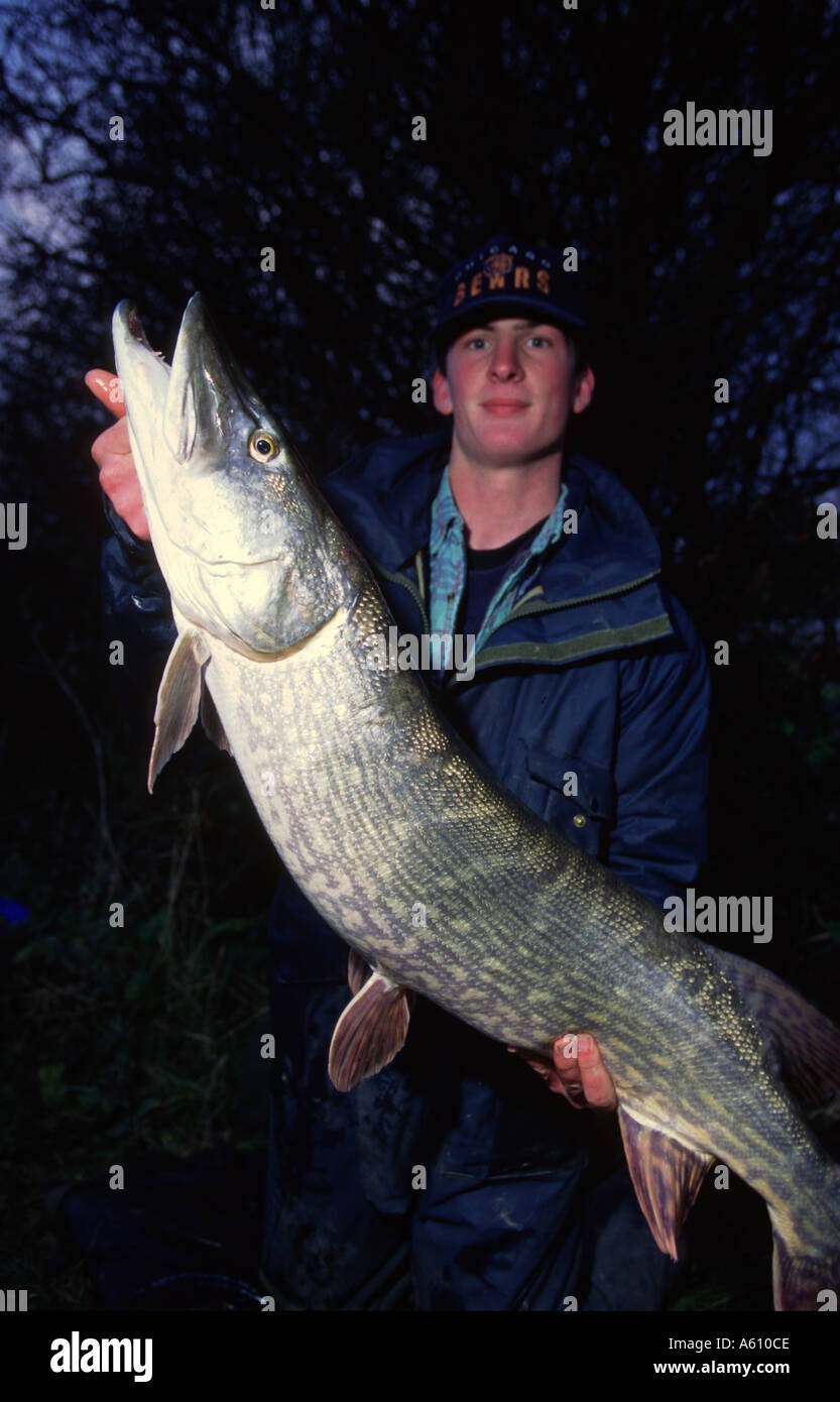Silver pike hi-res stock photography and images - Alamy