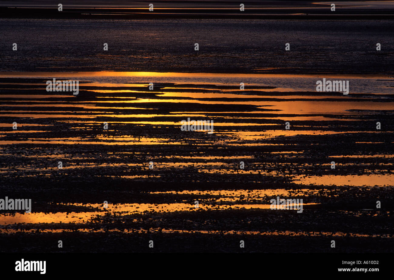 Sunset reflected in Morecambe Bay Silverdale Lancashire Stock Photo - Alamy