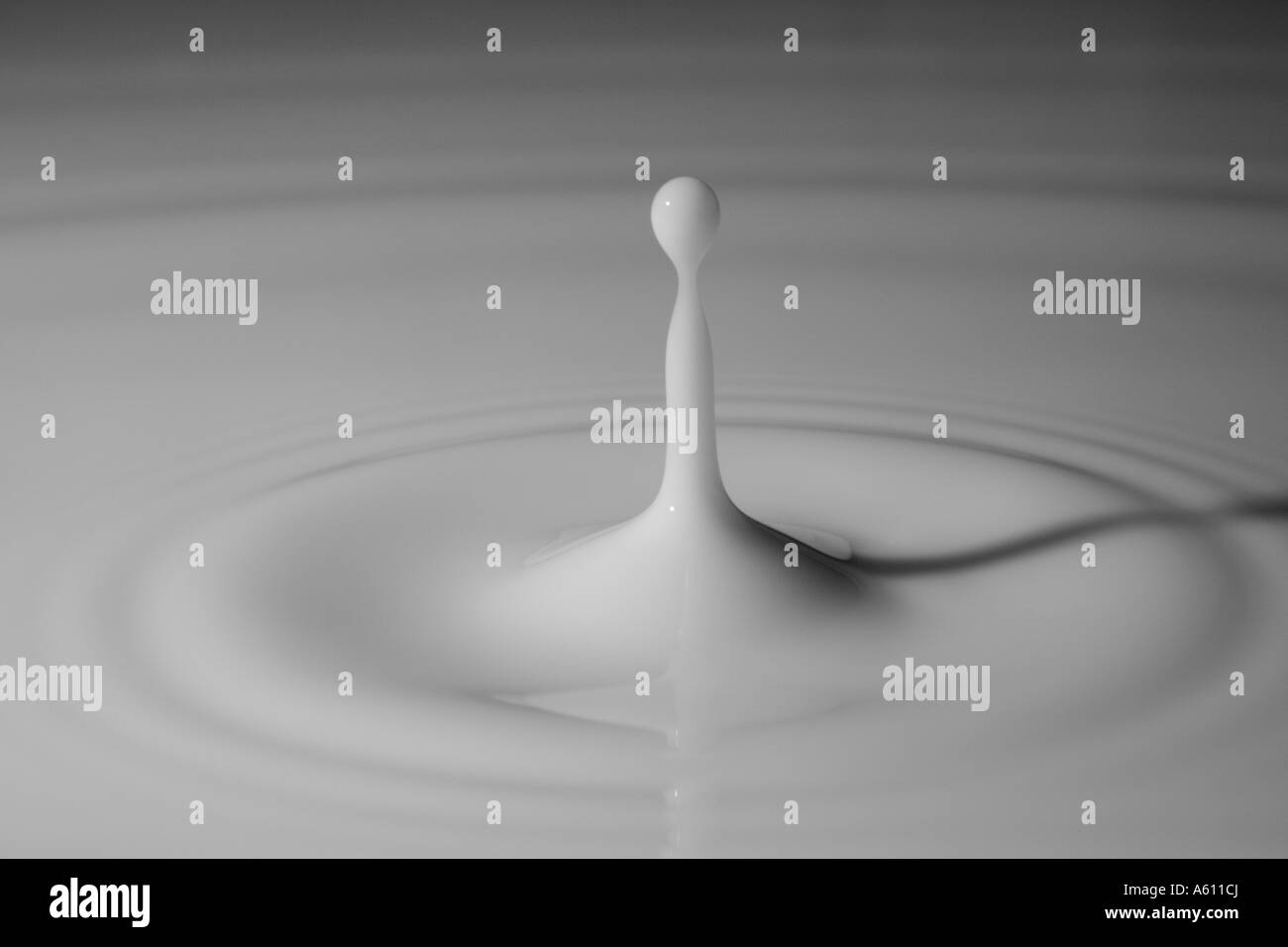 Milk drop Black and White Stock Photos & Images - Alamy