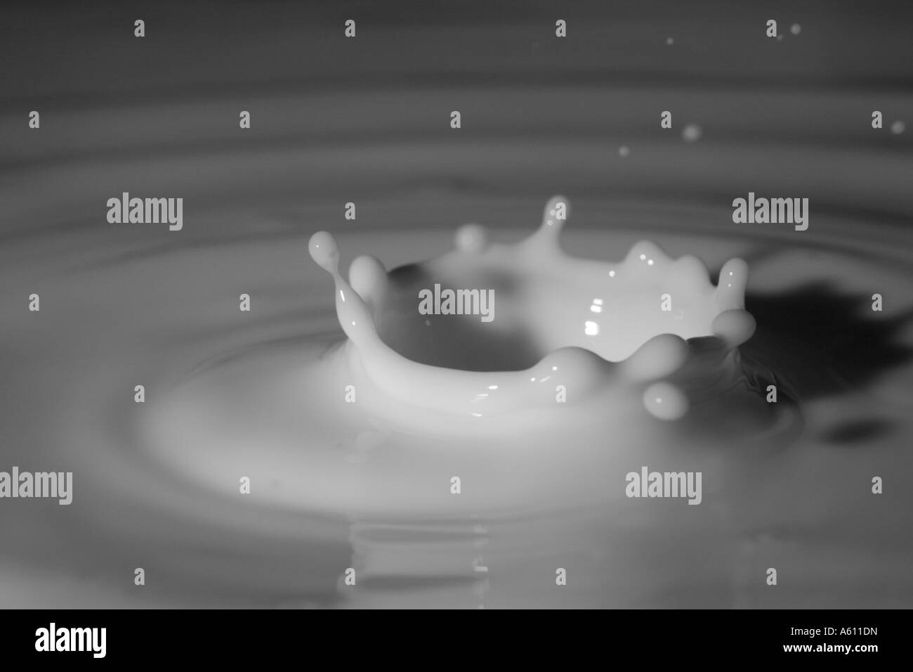 Flying milk Black and White Stock Photos & Images - Alamy