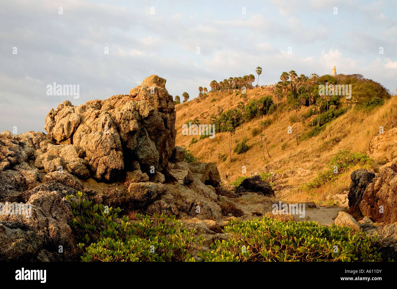 Brahmas cape hi-res stock photography and images - Alamy