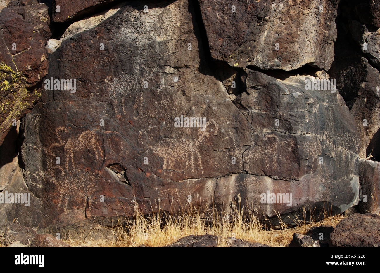 rock ancient art petroglyph "cave paintings Stock Photo - Alamy