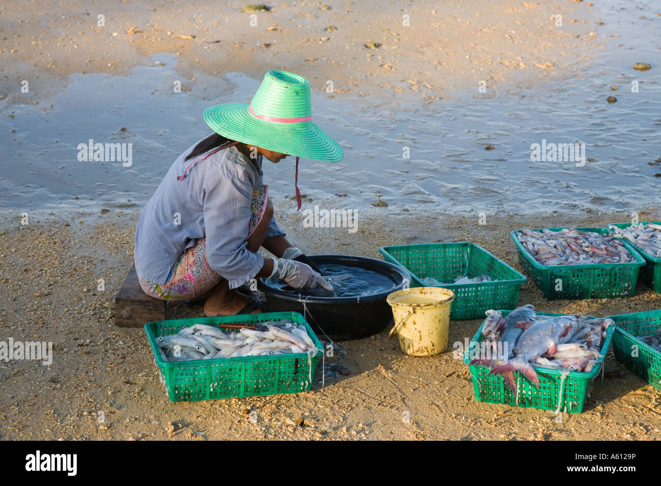 Swordfish caught catch hi-res stock photography and images - Alamy