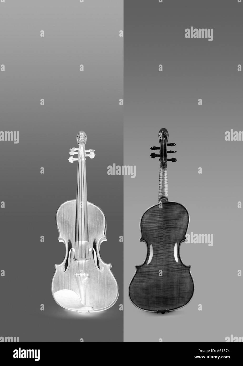 One violin shooted in front and back side Unique hand made model with ...