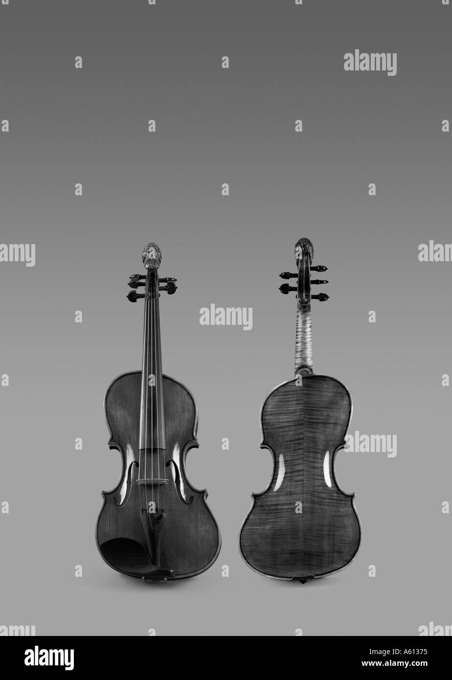 One violin shooted in front and back side Unique hand made model with ...