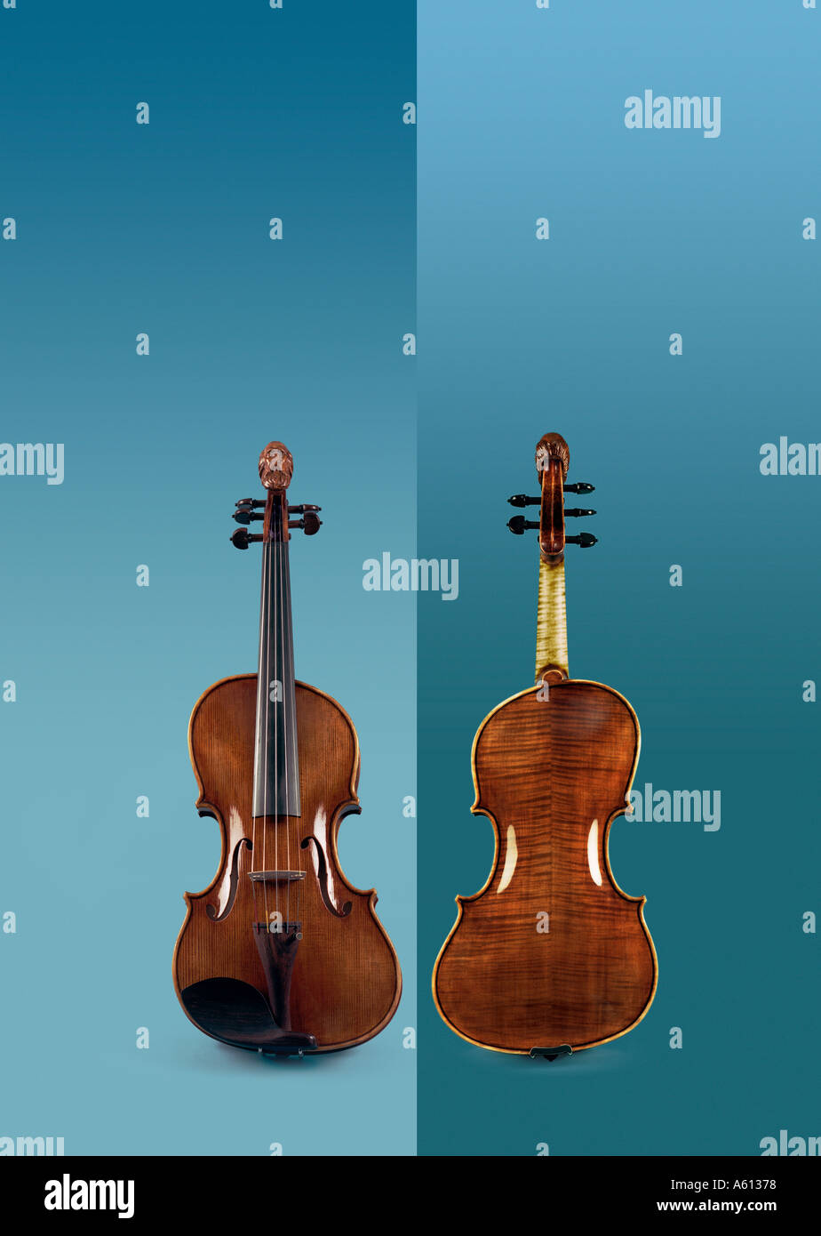 One violin shooted in front and back side Unique hand made model with ...