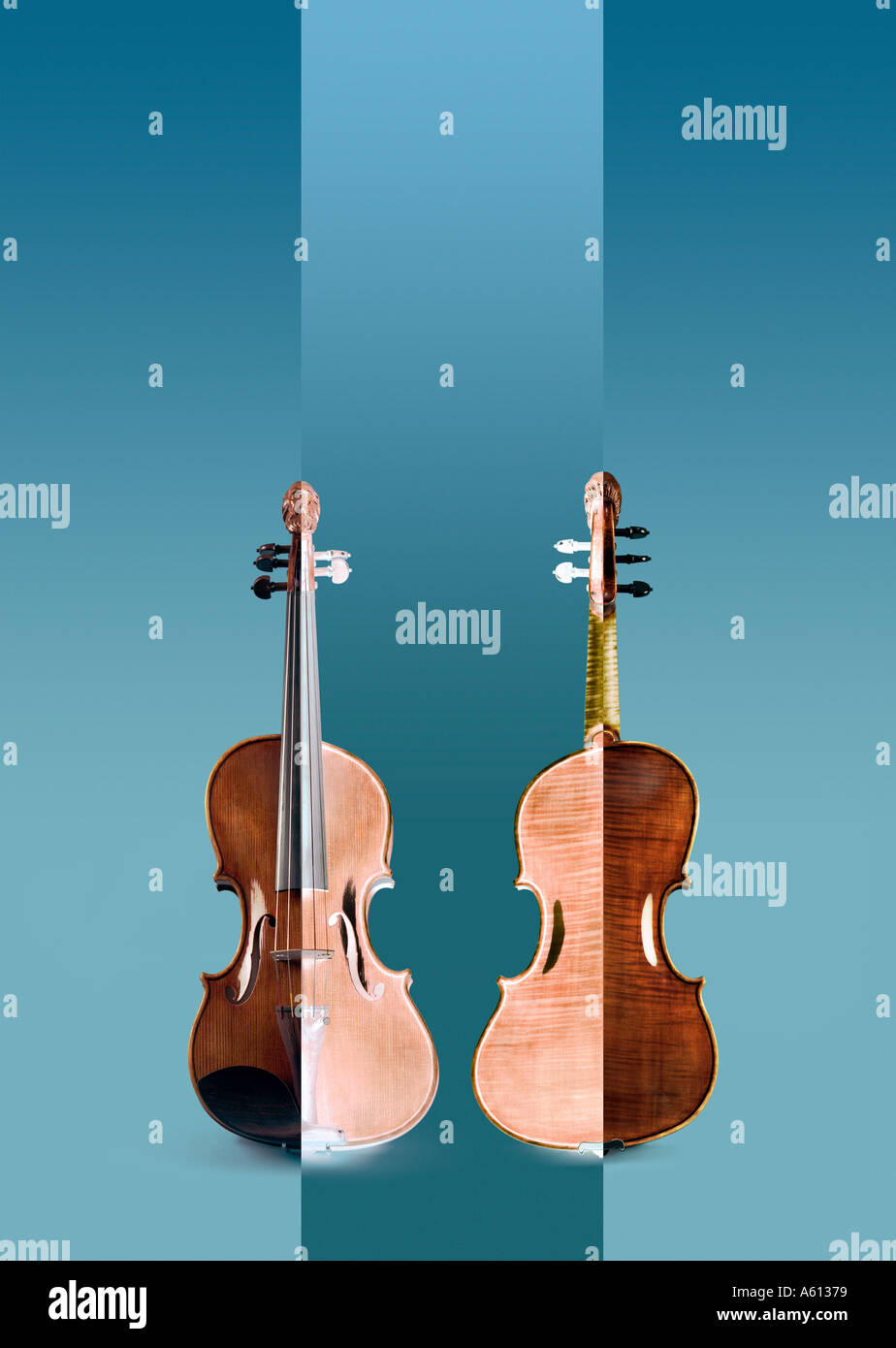 One violin shooted in front and back side Unique hand made model with ...