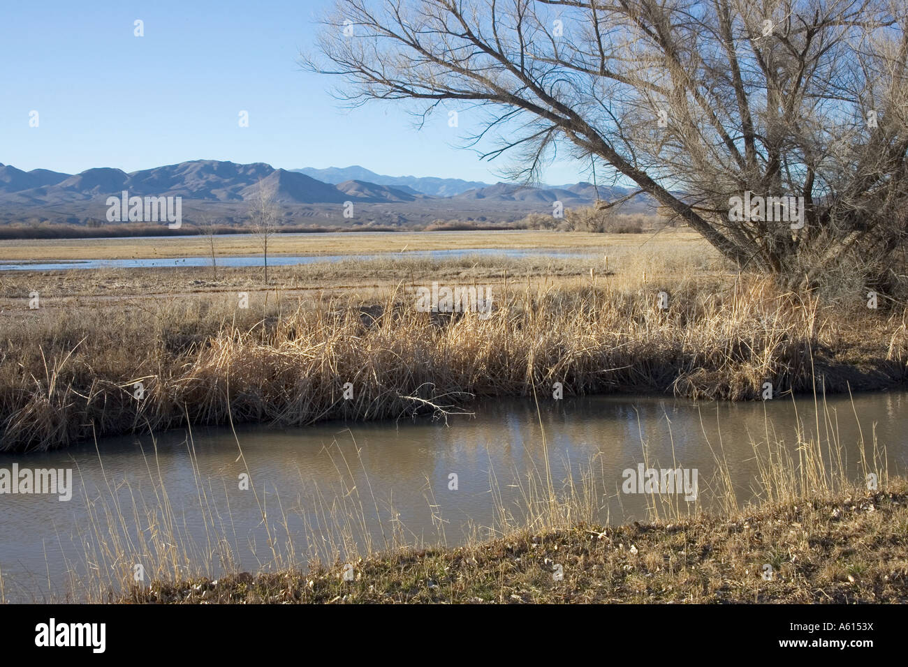 Bosque del apache and irrigation hi-res stock photography and images ...