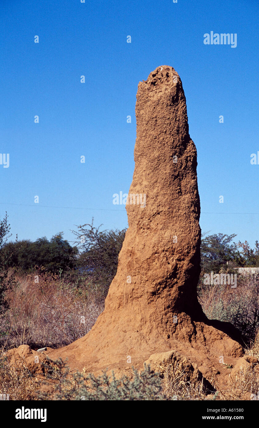Termite tower hi-res stock photography and images - Alamy