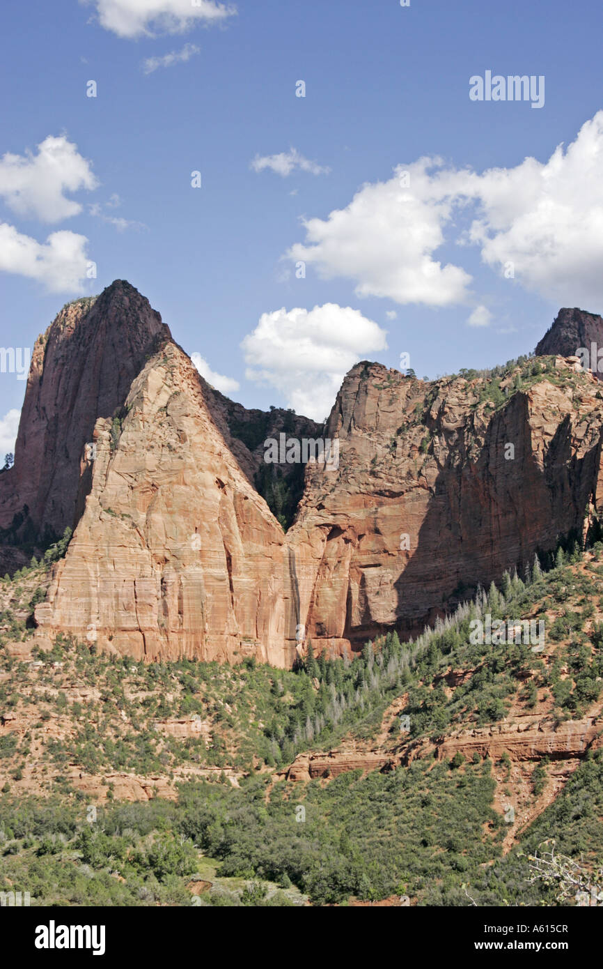Desert vegetation in the Kolob Canyon area of Zion National Park Utah ...