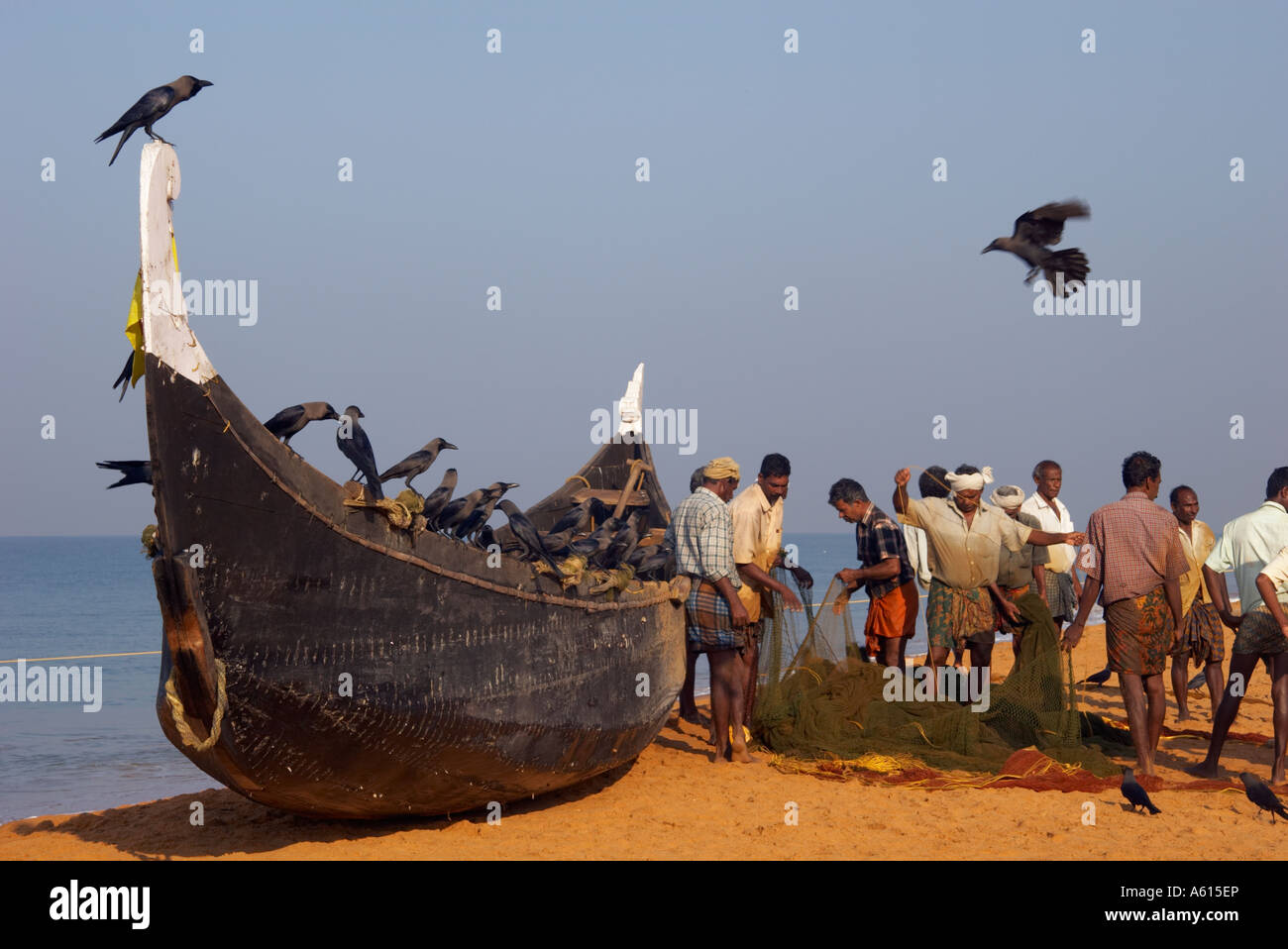 Crows lined up on fishing boat as the fishermen sort their nets north ...