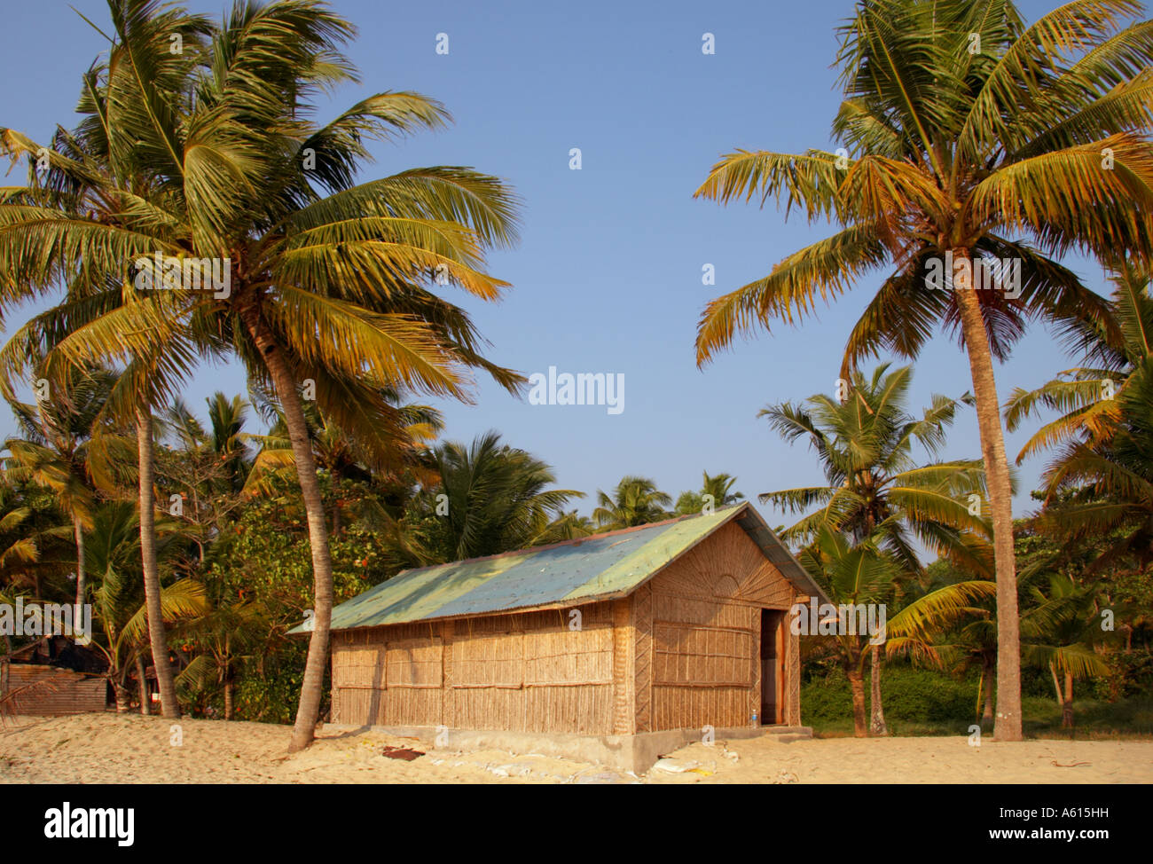 Decorative wicker hut amongst the palm trees on the beach at Kattoor ...
