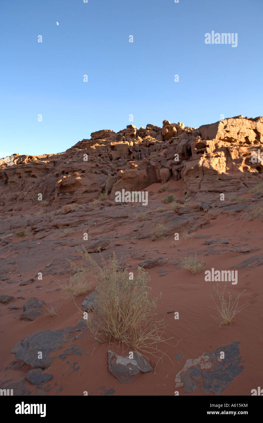Wadi Rum Jordan Grass rocks and moon Stock Photo - Alamy