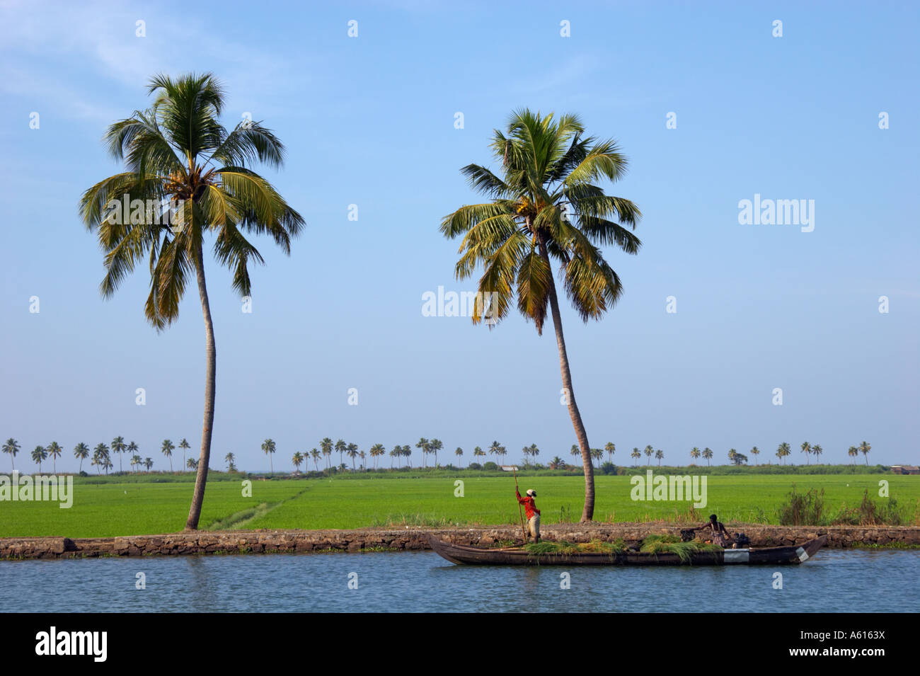 Traditional Keralan longboat kettu vallam propelled punt like on the ...
