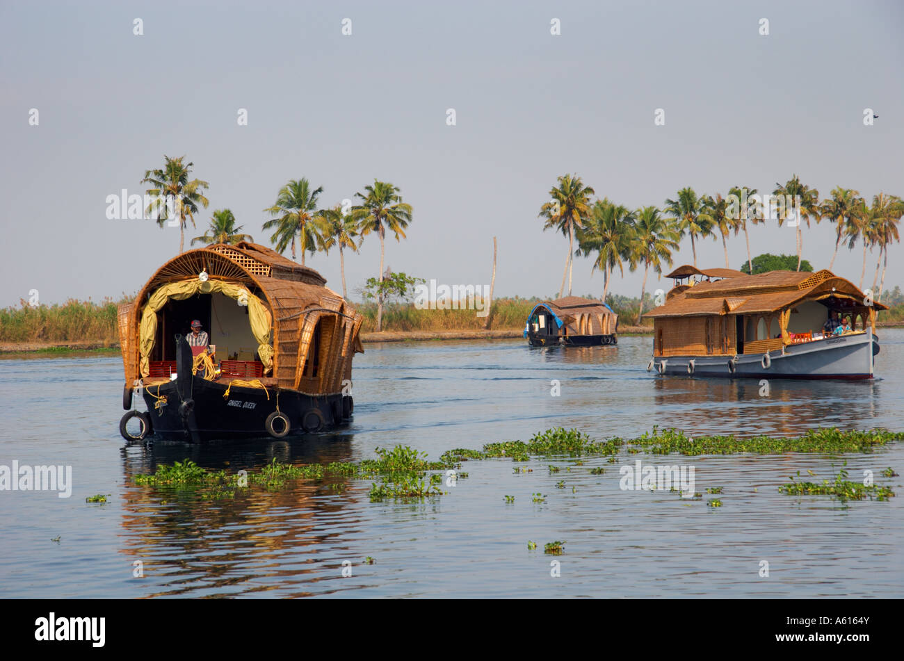 Houseboats on the Kuttanad the backwaters of Kerala Alappuzha India ...