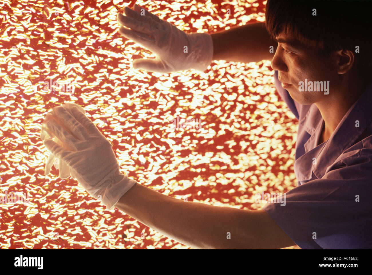 Optical Frame Manufacturing Plant China Stock Photo - Alamy