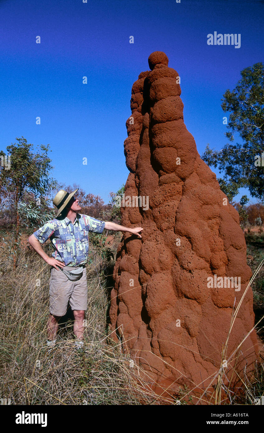 Man standing near termite mound Australia Stock Photo - Alamy