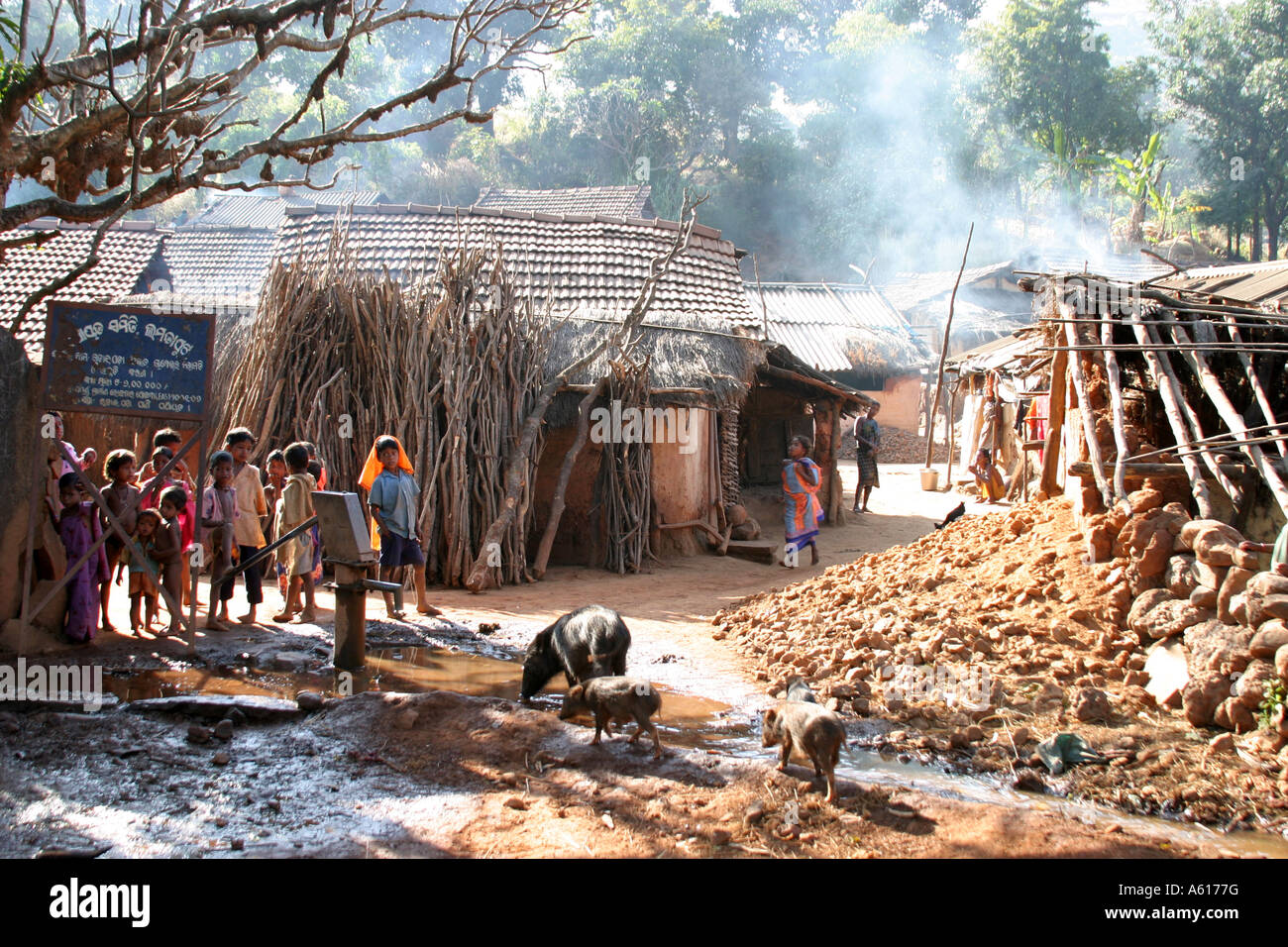 Gadaba hi-res stock photography and images - Alamy