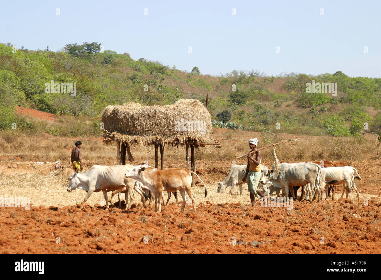 Rural farmworkers hi-res stock photography and images - Alamy