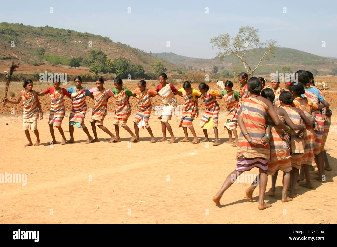A group of Gadaba tribal women giving a performance of their tradional ...