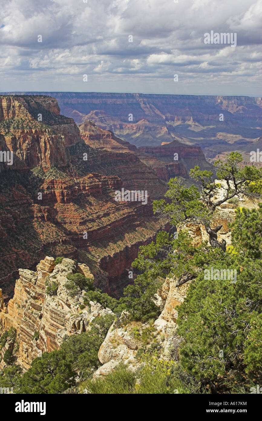Grand Canyon from Cape Royal on the the north rim Grand Canyon National ...