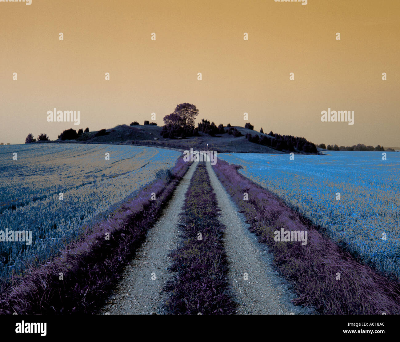 Land of the Dead Stock Photo - Alamy