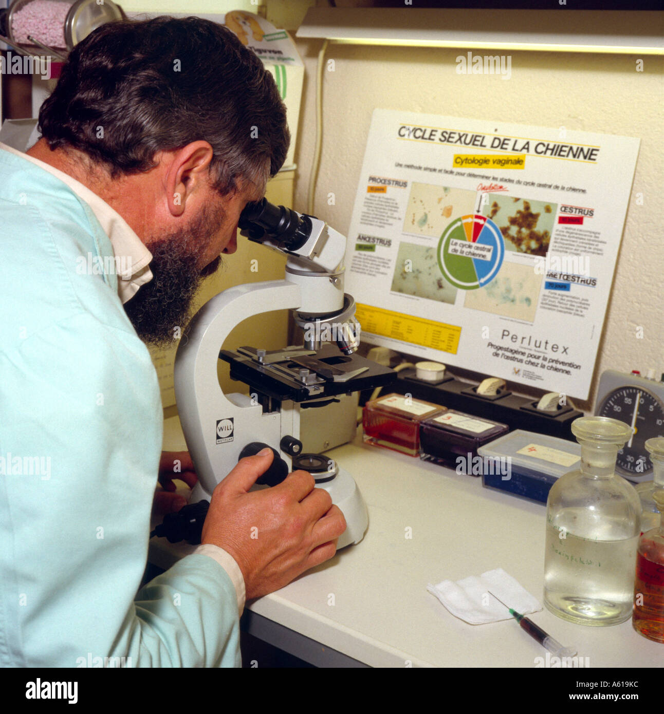 Male veterinary surgeon using microscope Stock Photo - Alamy