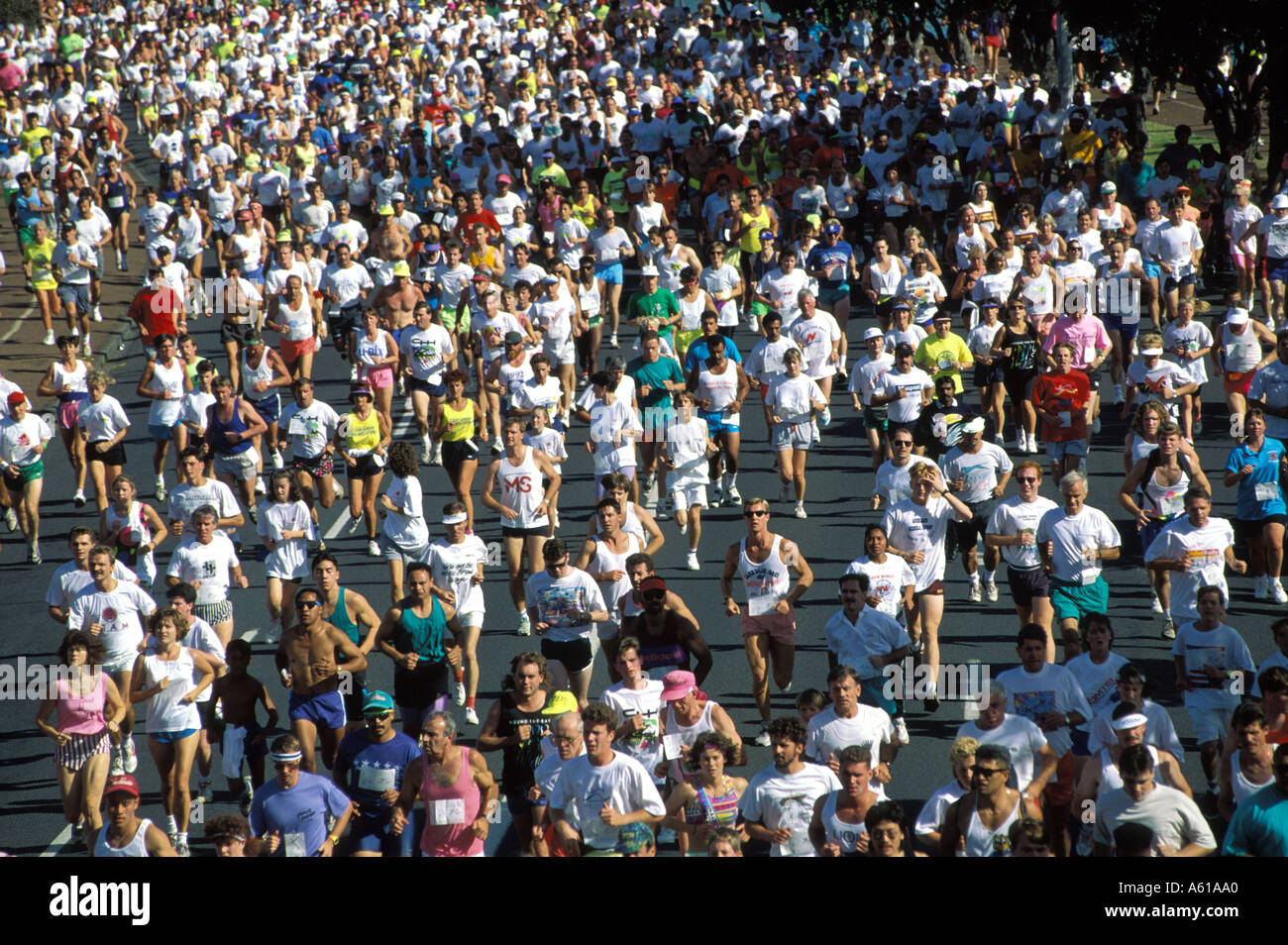 Round the Bays run Auckland New Zealand Stock Photo - Alamy
