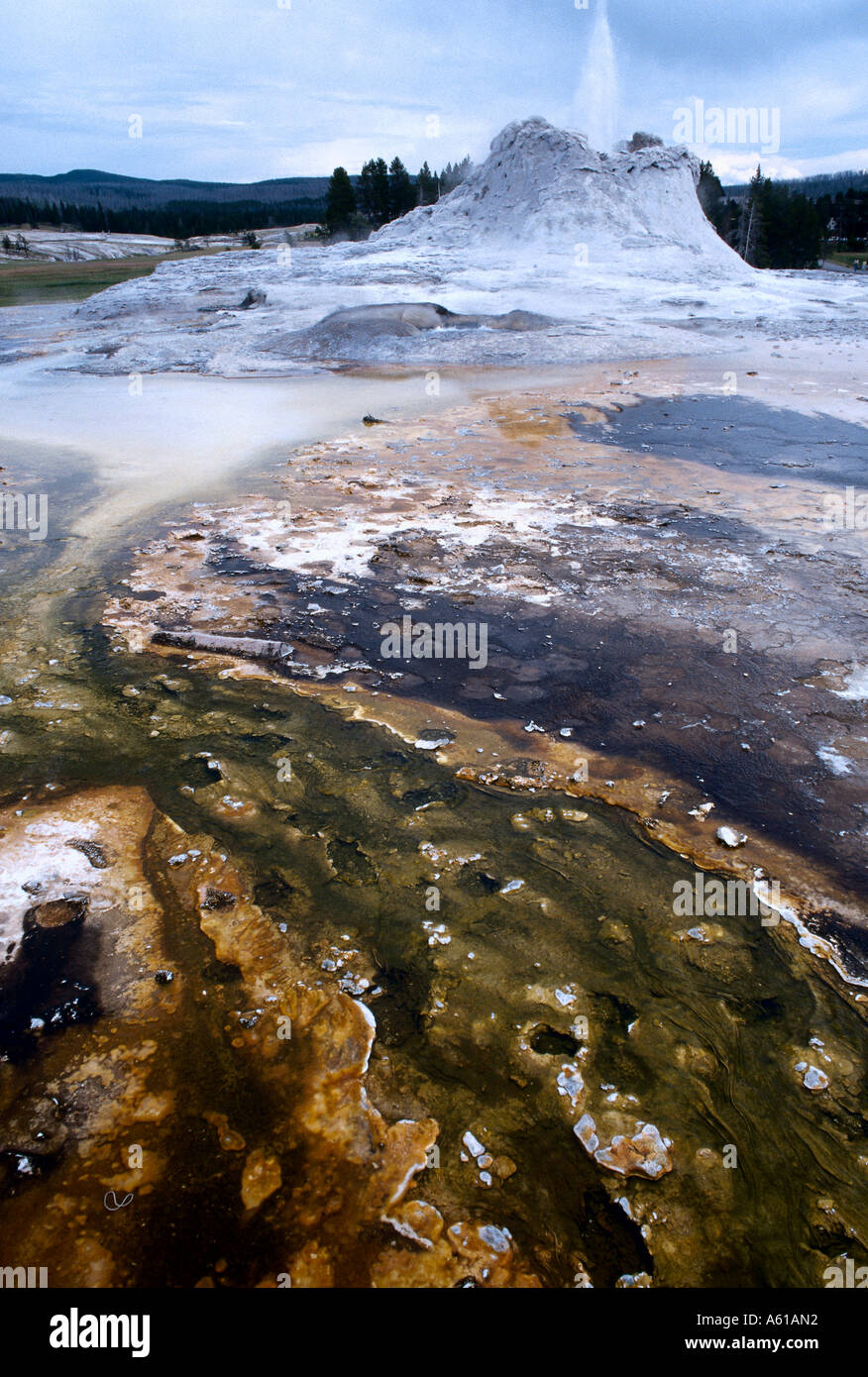 Geyser spouting water Stock Photo - Alamy