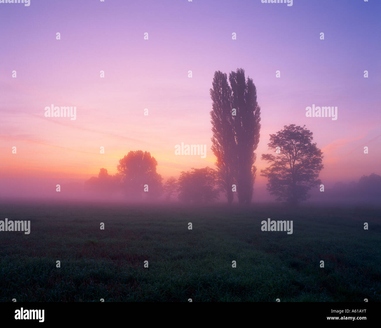 Misty landscape before dawn, Lower Franconia, Bavaria, Germany Stock ...