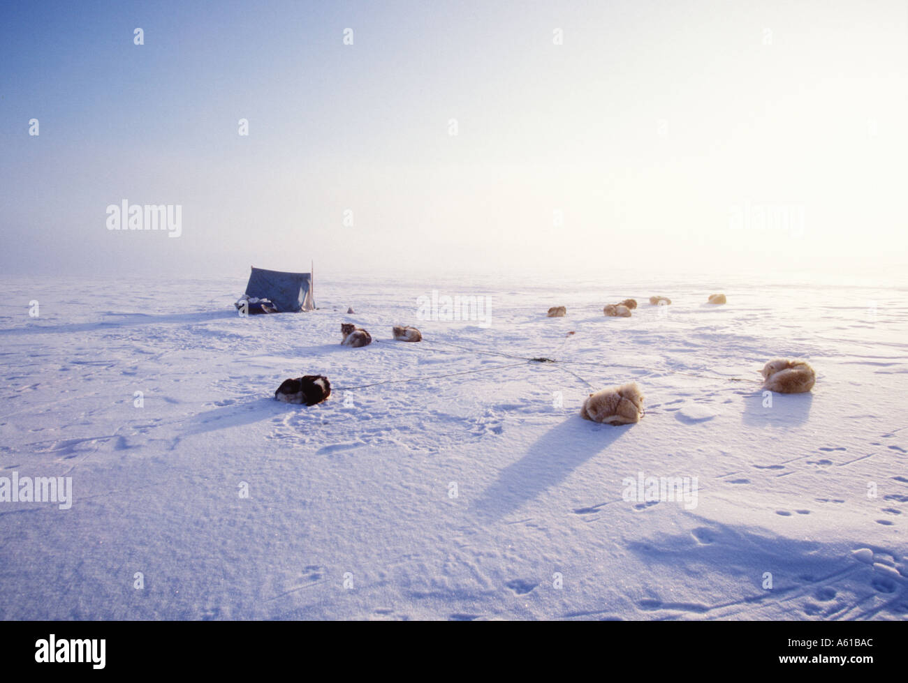 Thule inuit hi-res stock photography and images - Alamy