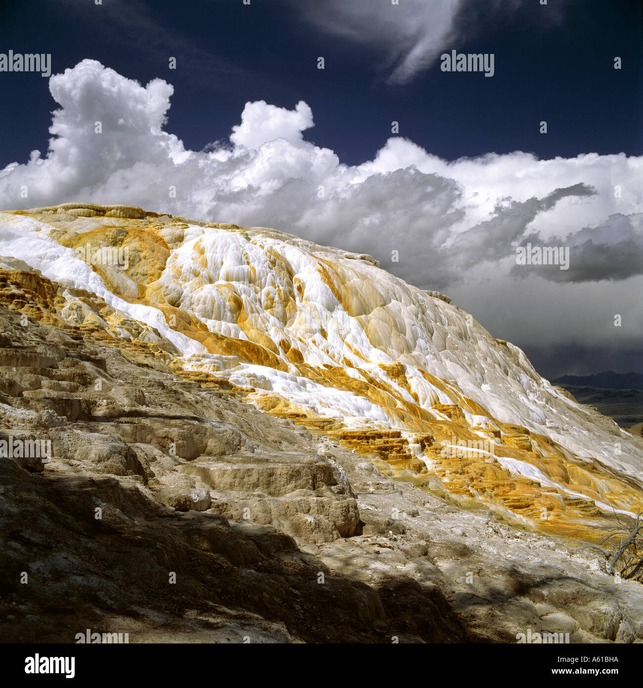 Sinter formation on rocks at hot spring, Mammoth Hot Spring, Yellow ...