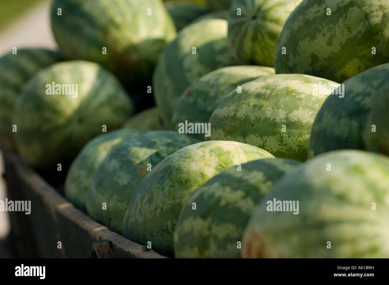 Watermelon wagon fruit hi-res stock photography and images - Alamy