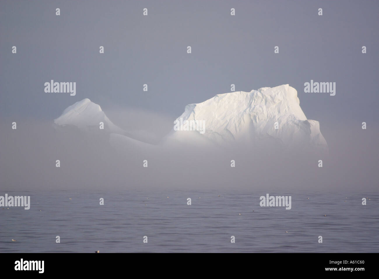 Iceberg in the fog Thule Greenland Stock Photo - Alamy