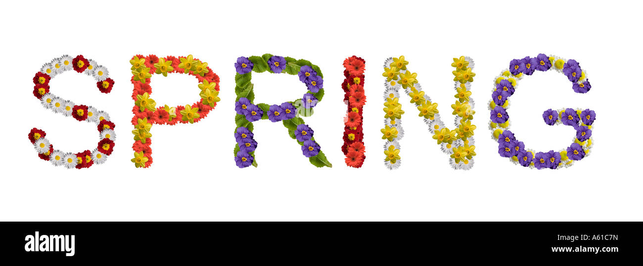 Writing Spring , made from blossoms Stock Photo - Alamy