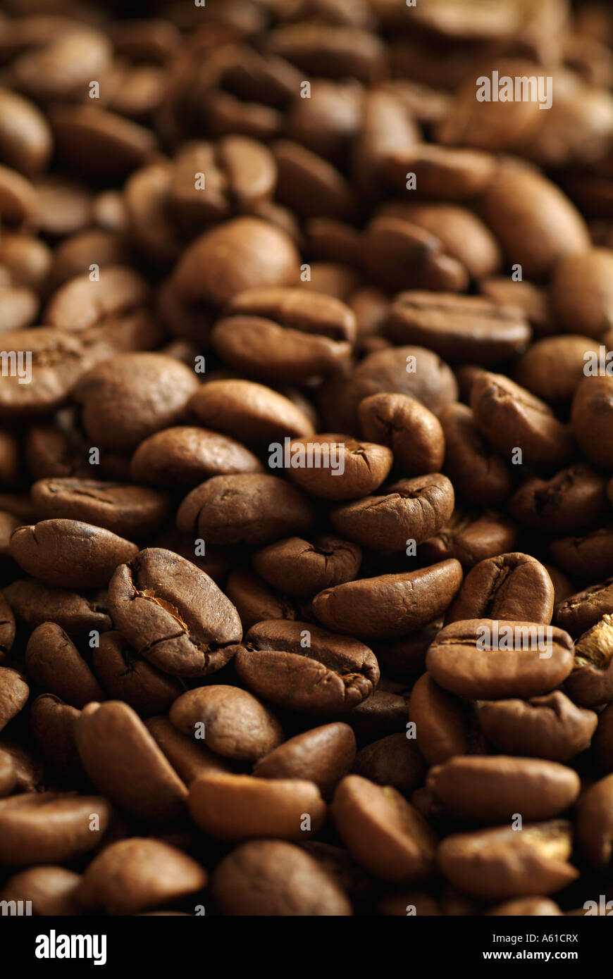 Coffee Beans Close Up Selective Focus Stock Photo - Alamy