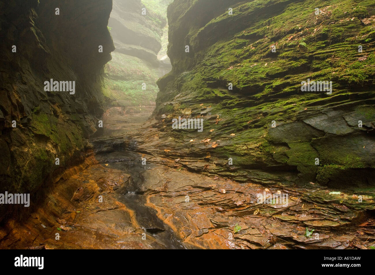 Turkey run state park hi-res stock photography and images - Alamy