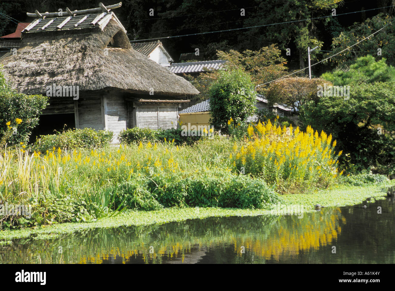 Japan Kyushu Yufuin Lake Kirin ko rural house Stock Photo - Alamy