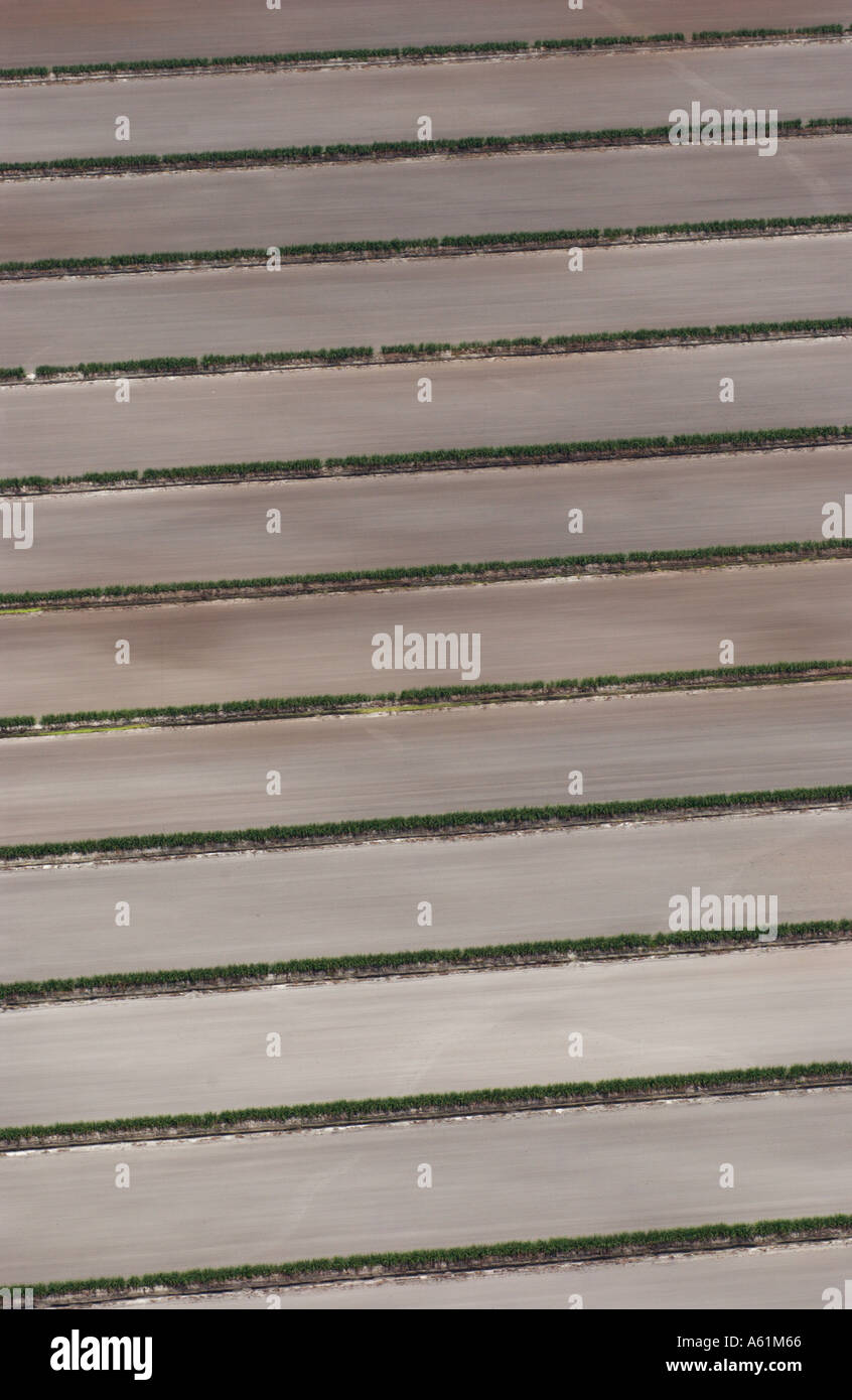 agriculture field farms farming dirt earth agricultural rows Stock ...