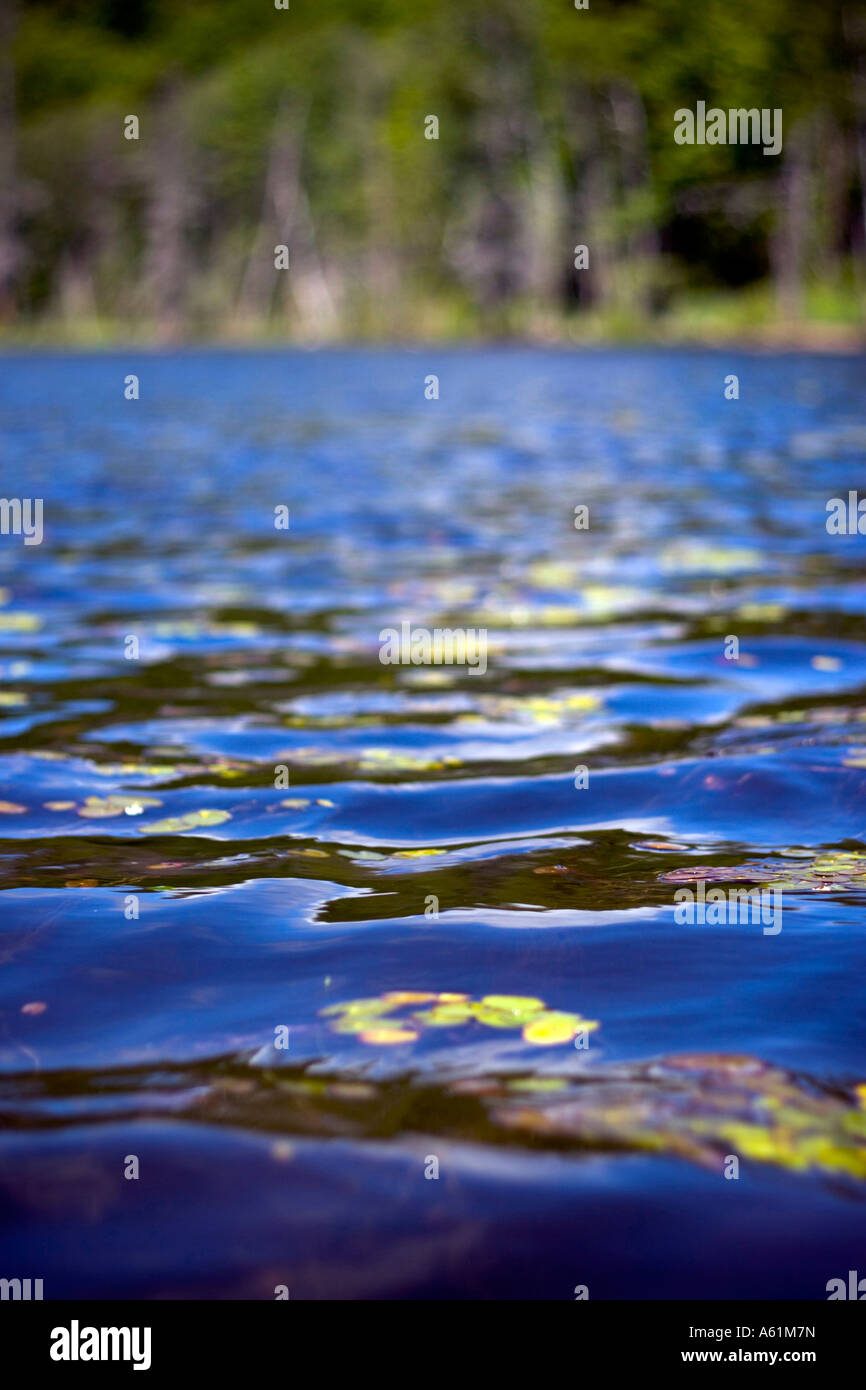 a lake in the Laurentians Quebec Canada Stock Photo - Alamy
