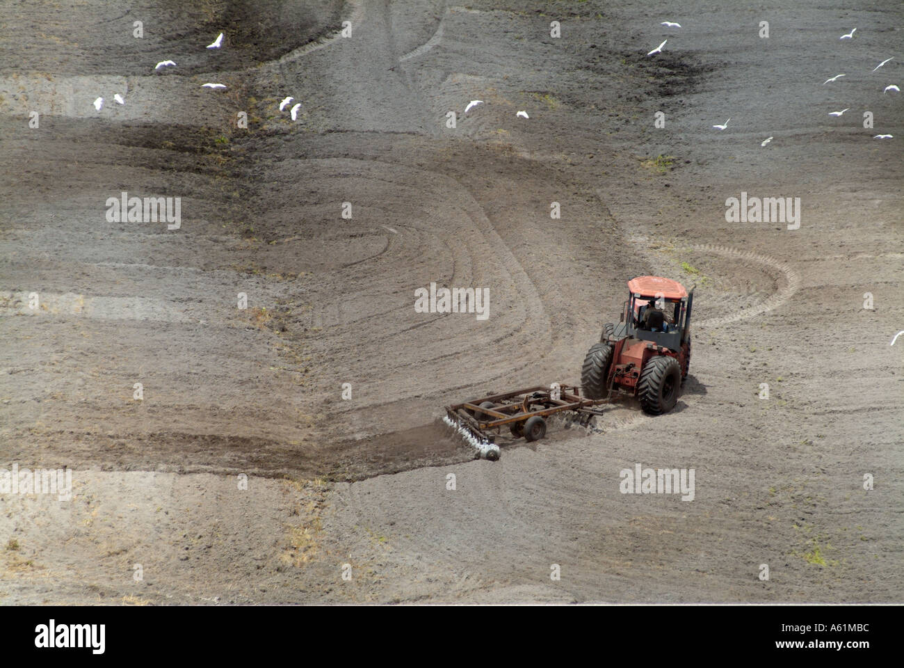 tractor and plow plowing agriculture farms farming fields dirt earth ...