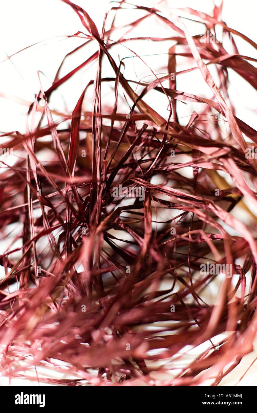 Dyed raffia hi-res stock photography and images - Alamy