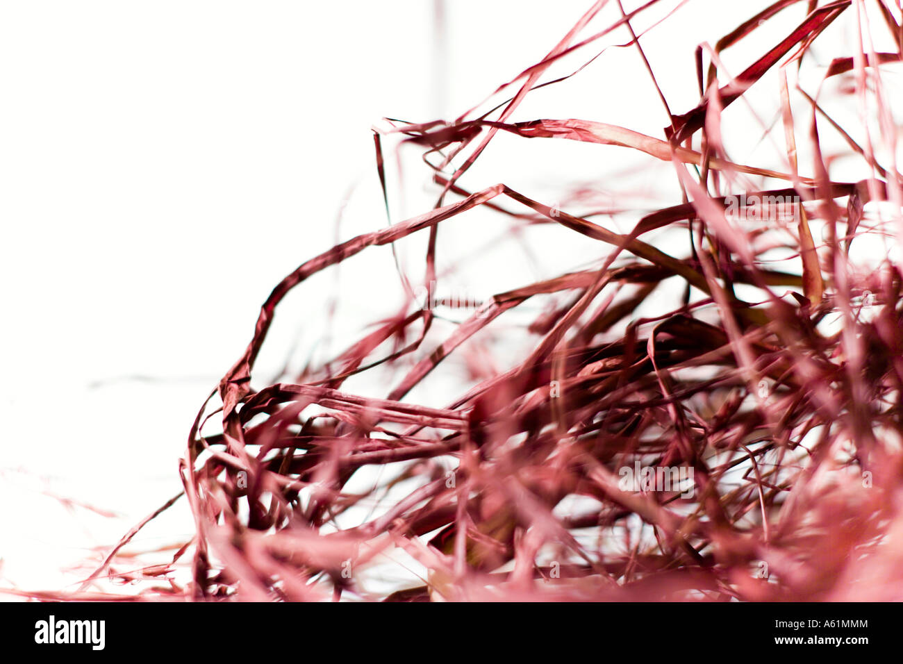 Dyed raffia hi-res stock photography and images - Alamy